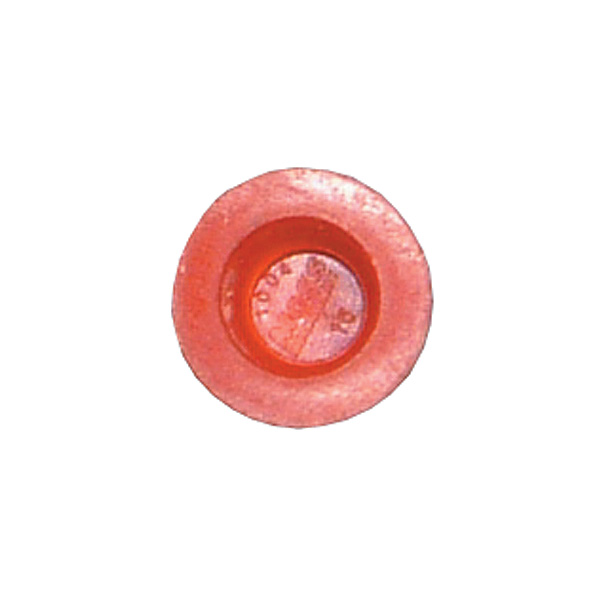 Plastic Blanking Cap | York Survey Supply Centre