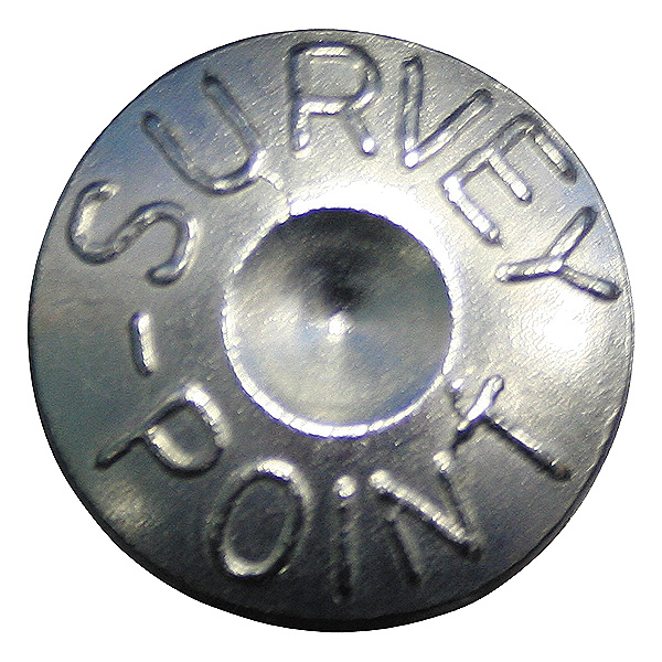 Survey Point Nail | York Survey Supply Centre