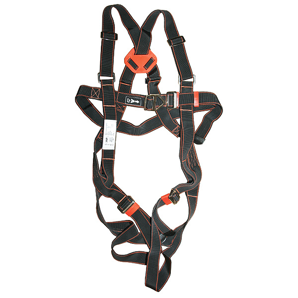 Pioneer 2-Point Harness | York Survey Supply Centre